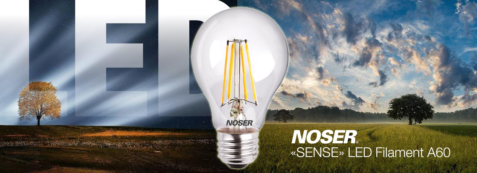 Nosi's Light Shop - Bruchsch Liecht? Dä Nosi hät's!